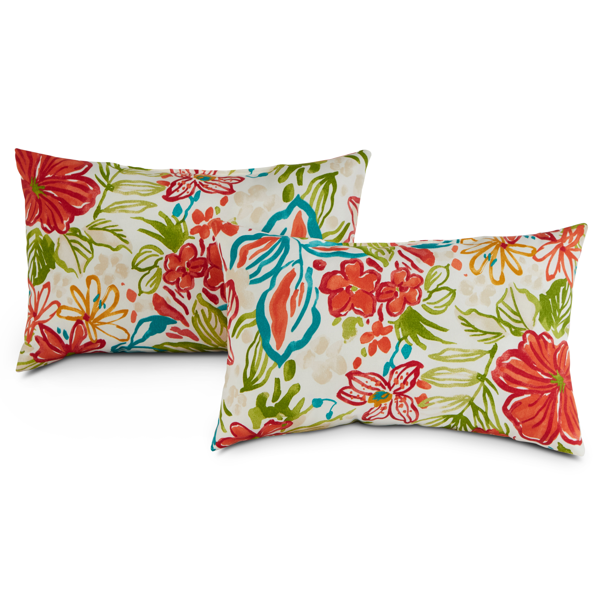 Indoor Outdoor Decorative Throw Pillows - Reviews